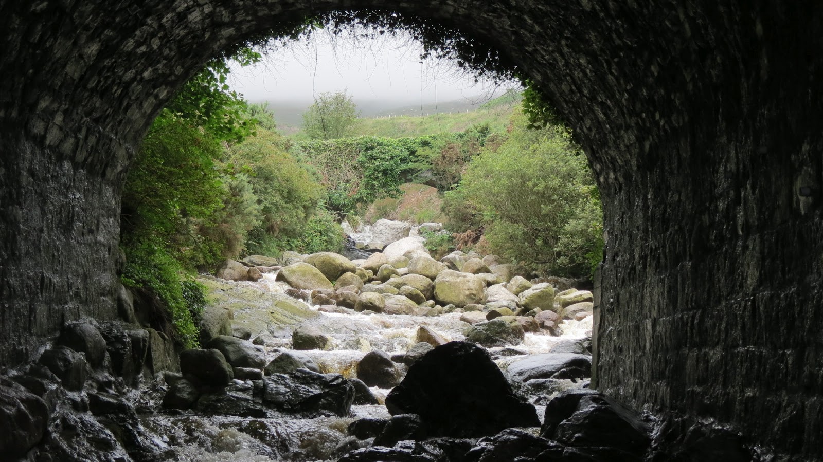 The Glebe Blog: Ireland August 2012 - Day 1 - Mourne