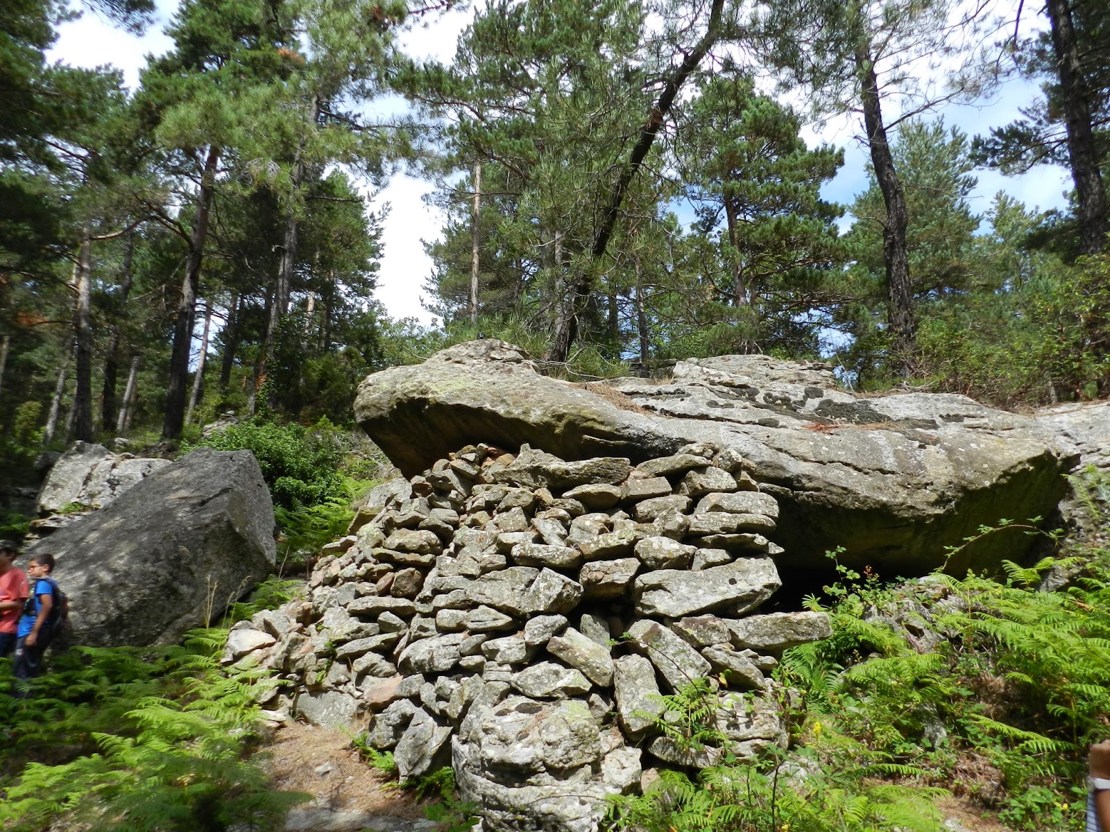 Senderismo y botánica: El Peñagolosa - El Rebollar