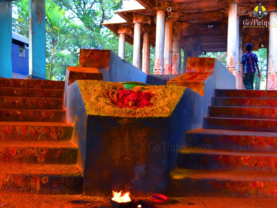 GoTirupati: TIRUMALA DIVYA DARSHAN TOKENS, DIVYA DARSHAN TOKEN COUNTERS