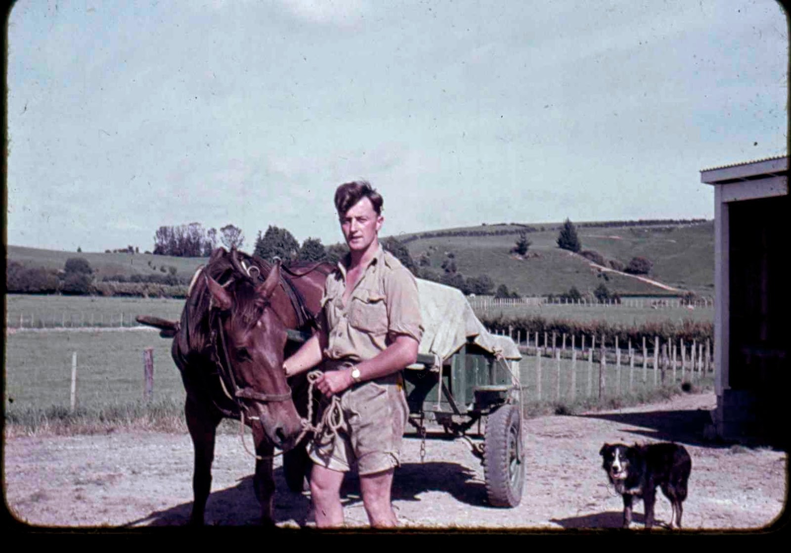 Woolshed 1: Agricultural history in New Zealand. Herd testers. Peter ...
