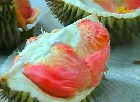 Ini Dia..Durian Merah Banyuwangi..!! - Boku no Blog