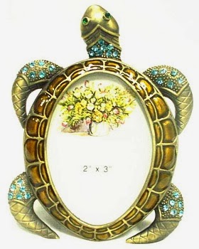 Rules of the Jungle: Turtle Picture Frame