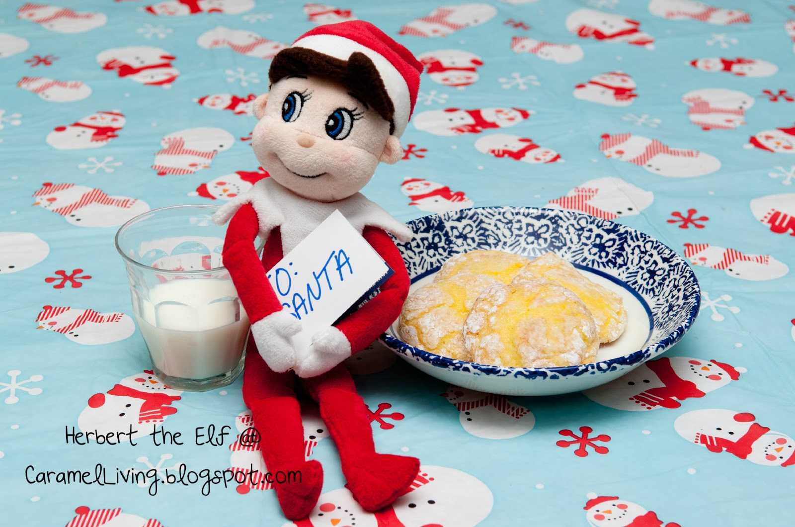 Caramel Living: Herbert the Elf... a farewell story