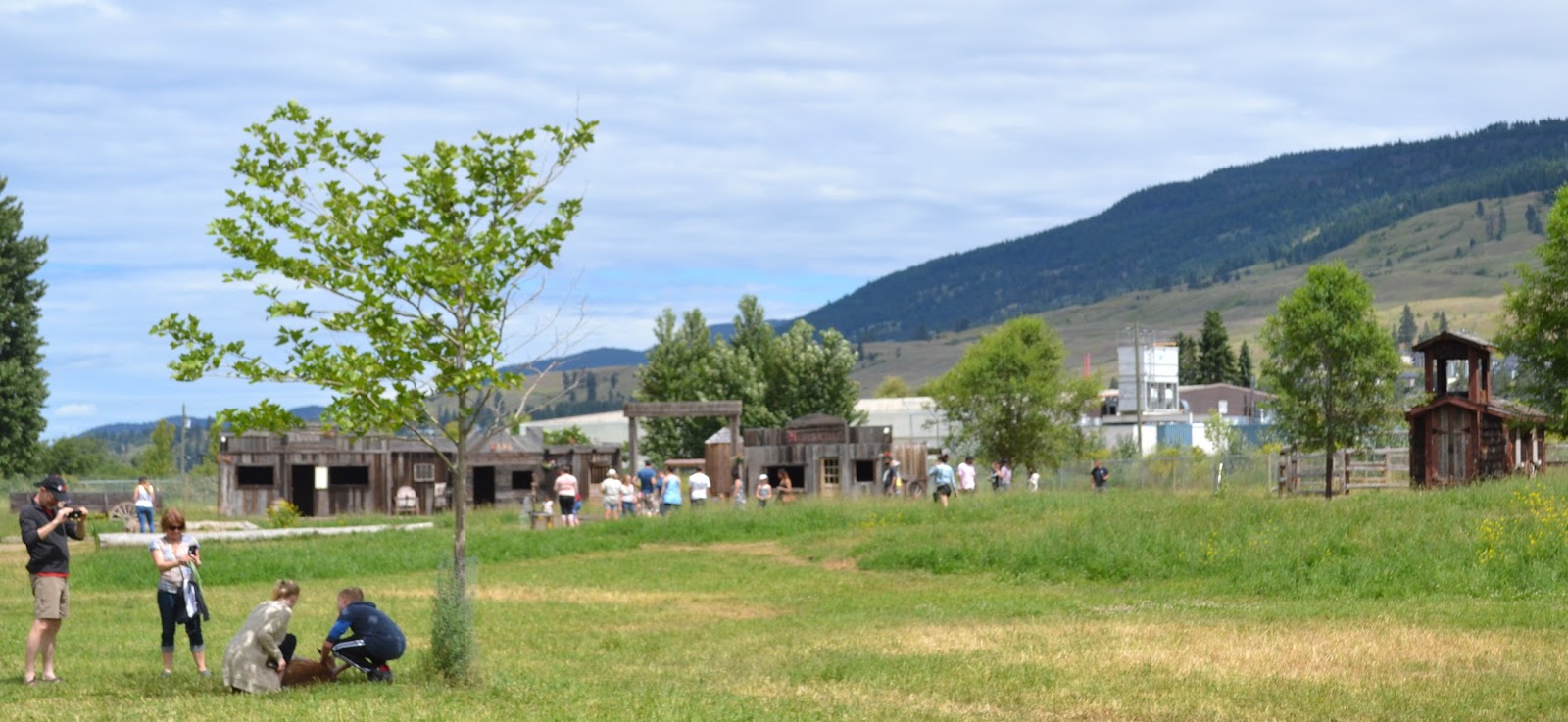 we-love-kamloops: Kangaroo Creek Farm ~ Lake Country ~ Winfield, BC