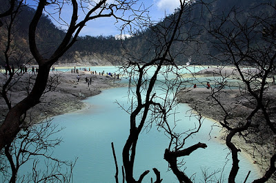 New 10 Wonders of Nature: White Crater (Kawah Putih) in Mount Patuha ...