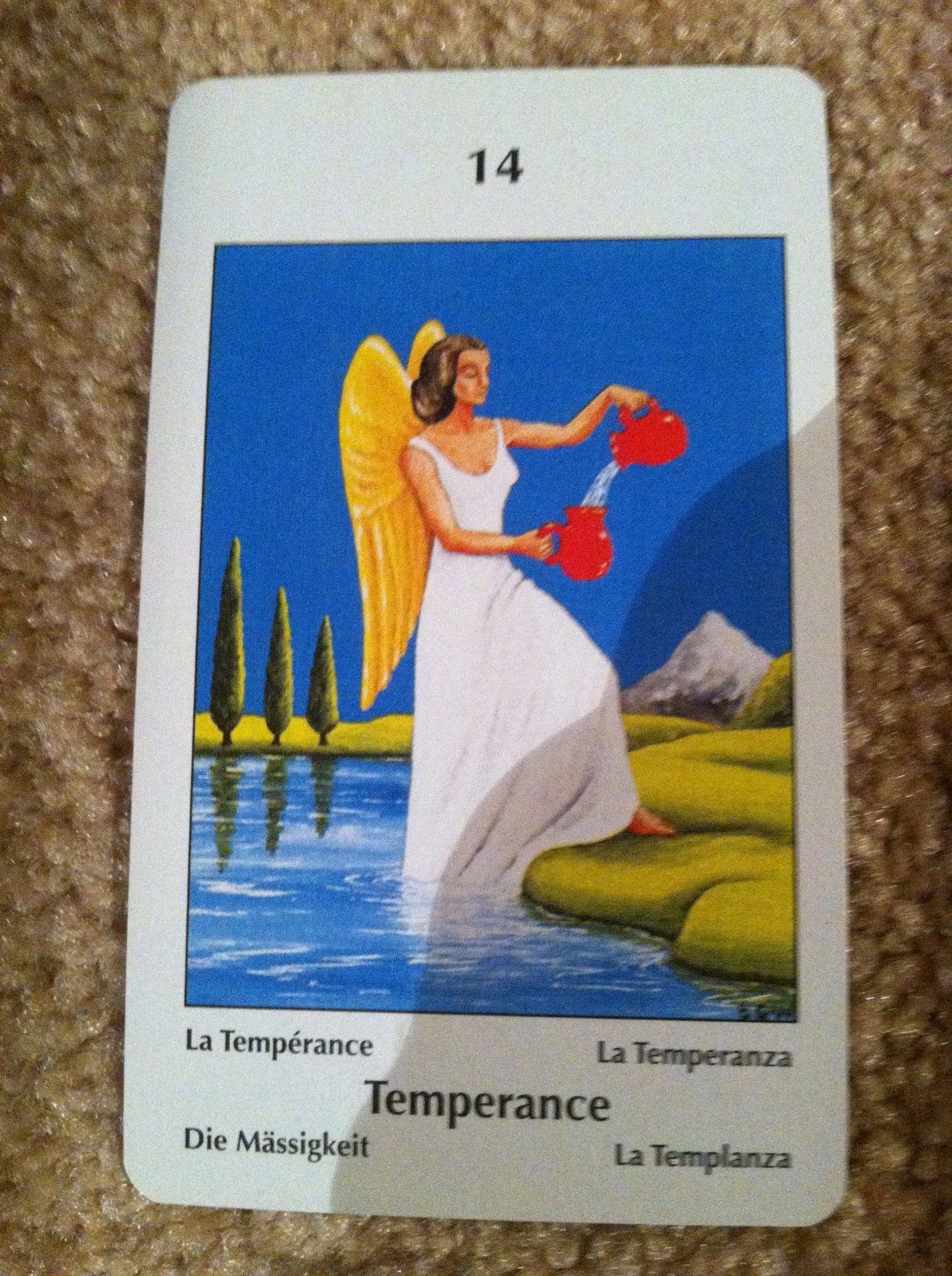 Turtlephoenix Tarot, Dreams, and Astrology: Temperance