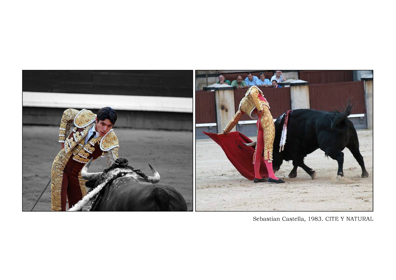 La Fiesta prohibida, por Manuel Hernández.: Sebastian CASTELLA. Muleta