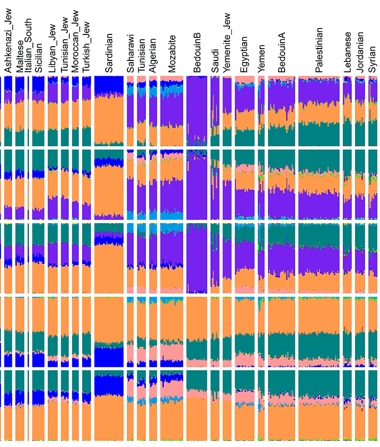 The DNA of The Arabs Moors in Spanish and Portuguese People
