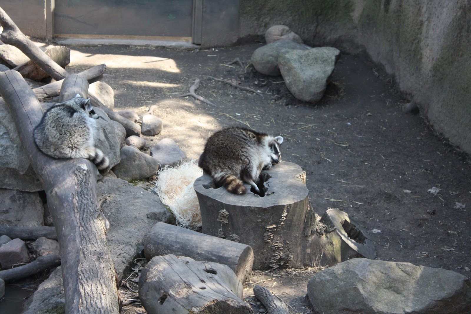 A Little Time and a Keyboard: Cosley Zoo in Wheaton, IL