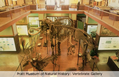 New Jersey Track and Trace Museum: Amherst College: Beneski Museum of ...