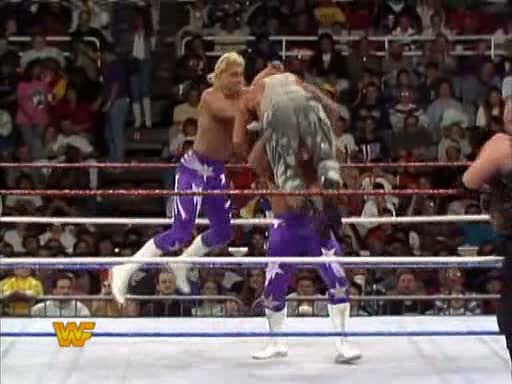 Wrestlemania para siempre: Survivor Series (1991)