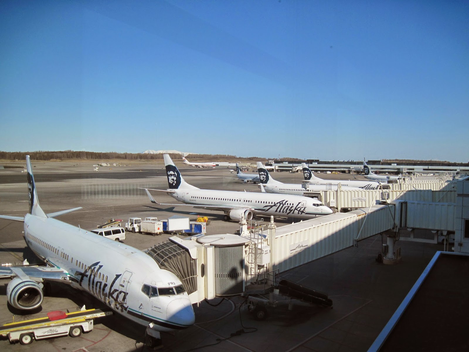 Hogfamily Adventures, AKA: The hog blog: Ted Stevens Anchorage ...