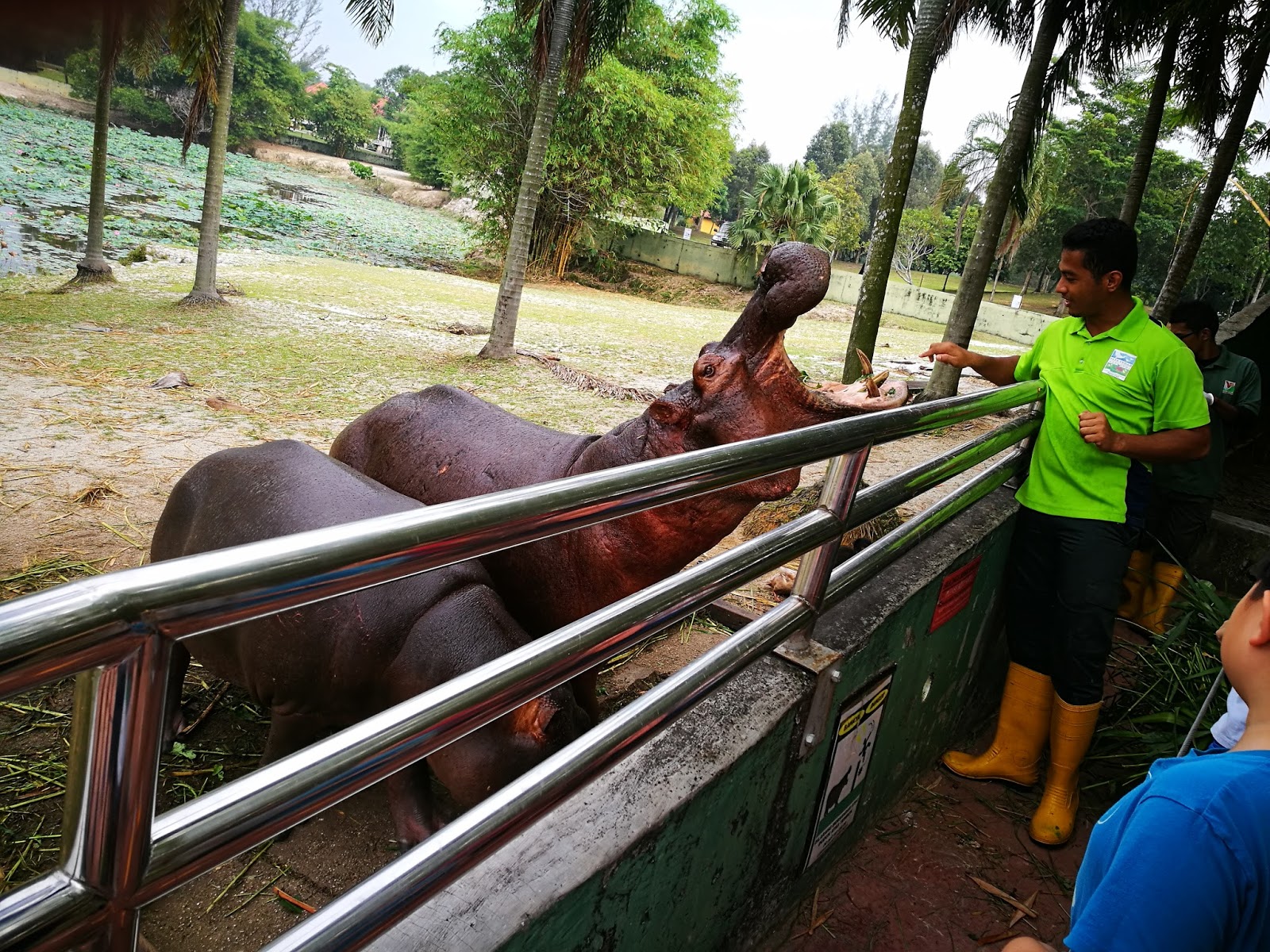 Paya Indah Wetlands Dengkil Kuala Langat