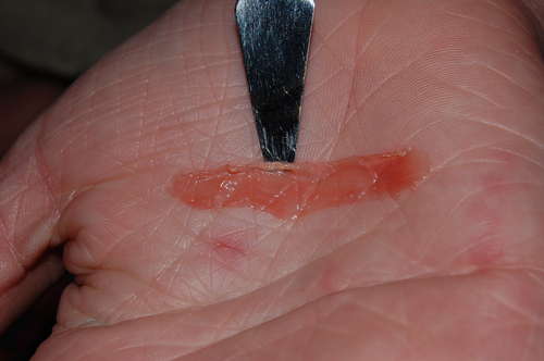 Most Wanted Gadget: Most Wanted Hallowen Scary Make Up (Special FX ...