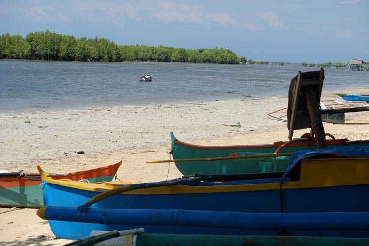 Traveler: Tubajon Aqua Marine Water Park and Fish Sanctuary Mangrove ...