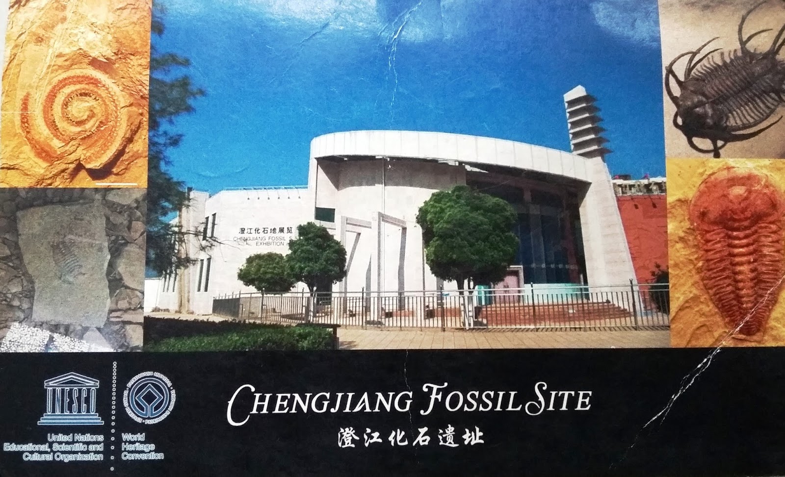 Namaste Heritage Postcards: China: ChengJiang Fossil Site