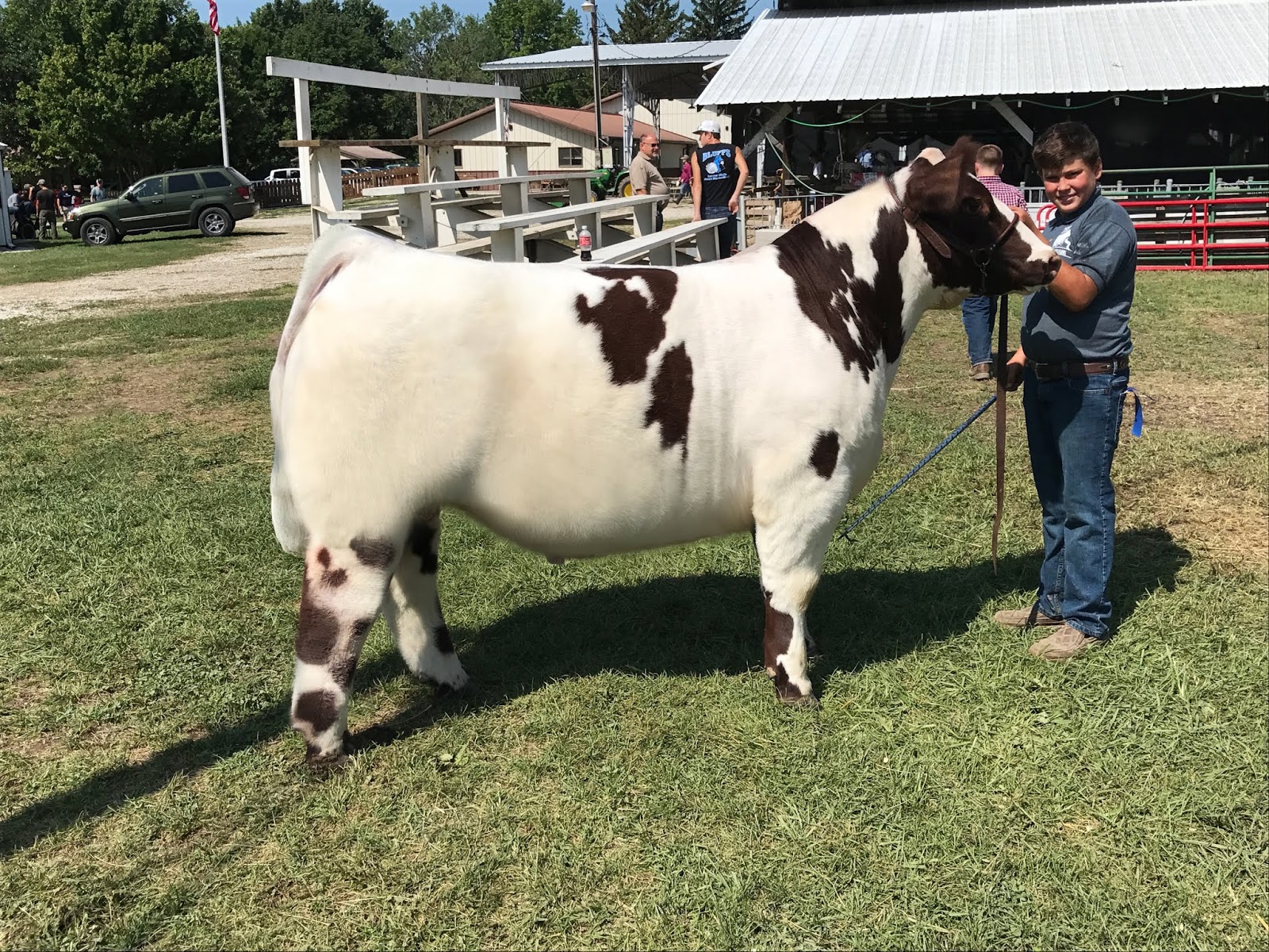 RCC Blog: Rodger That Grand Champion Steer 2018 Scott County Fair