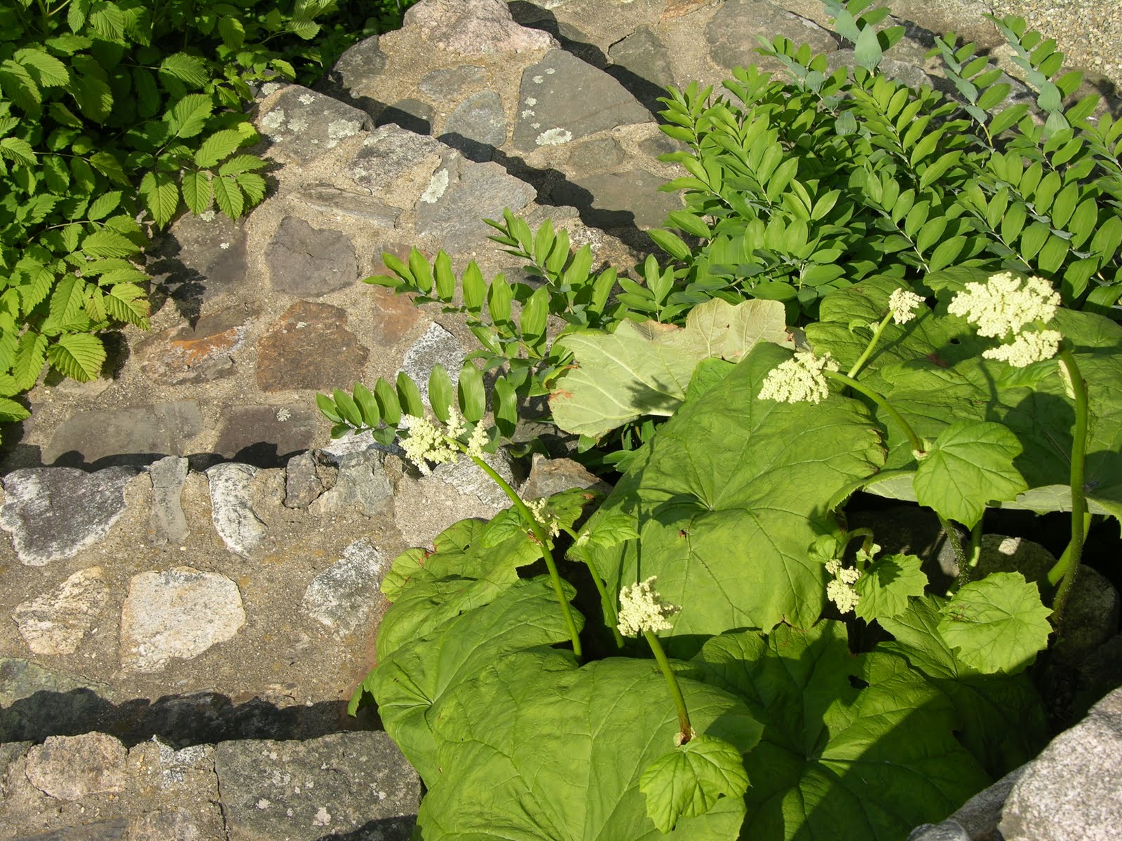 Simply Cool Stuff: Eyes