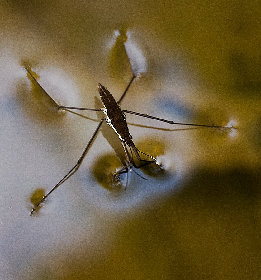 Black and White Dreams: May 2012