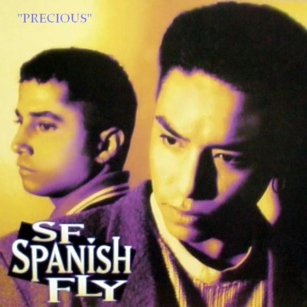FREESTYLE REMEMBER----------- : SPANISH FLY-PRECIOUS(SING) 1991