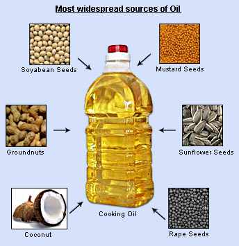 Business Ideas | Small Business Ideas: How to Start a Vegetable Oil ...
