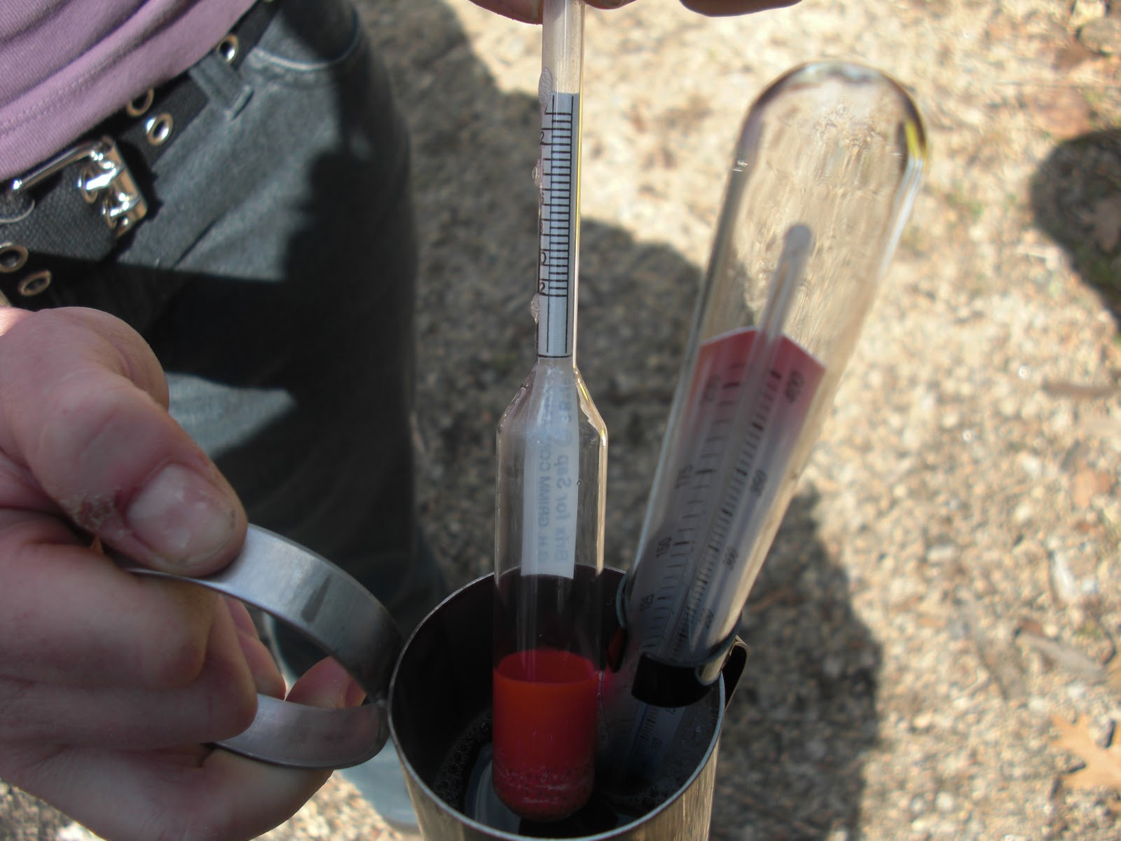 Tagan's Kitchen: Maple Syruping in the City