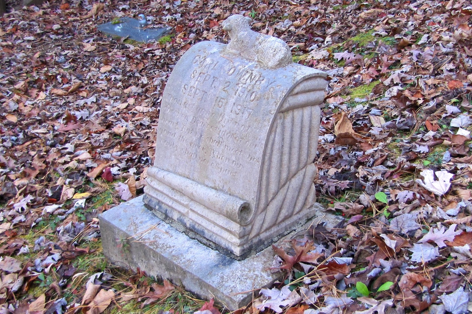 To Behold the Beauty: A Smoky Mountain Assortment