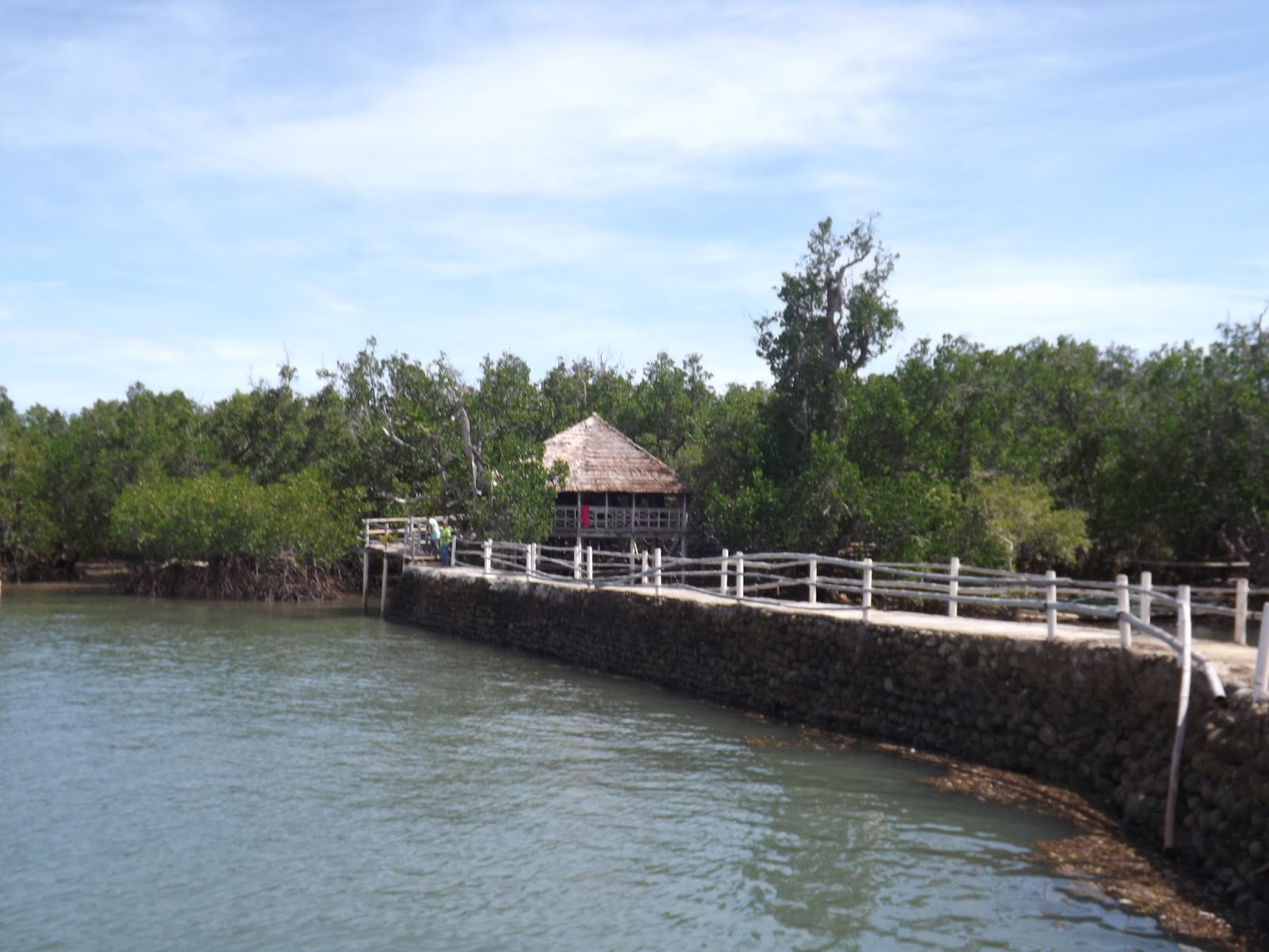 TRAVEL GUIDE: SUYAC ISLAND PHILIPPINES - Touristang Pobre