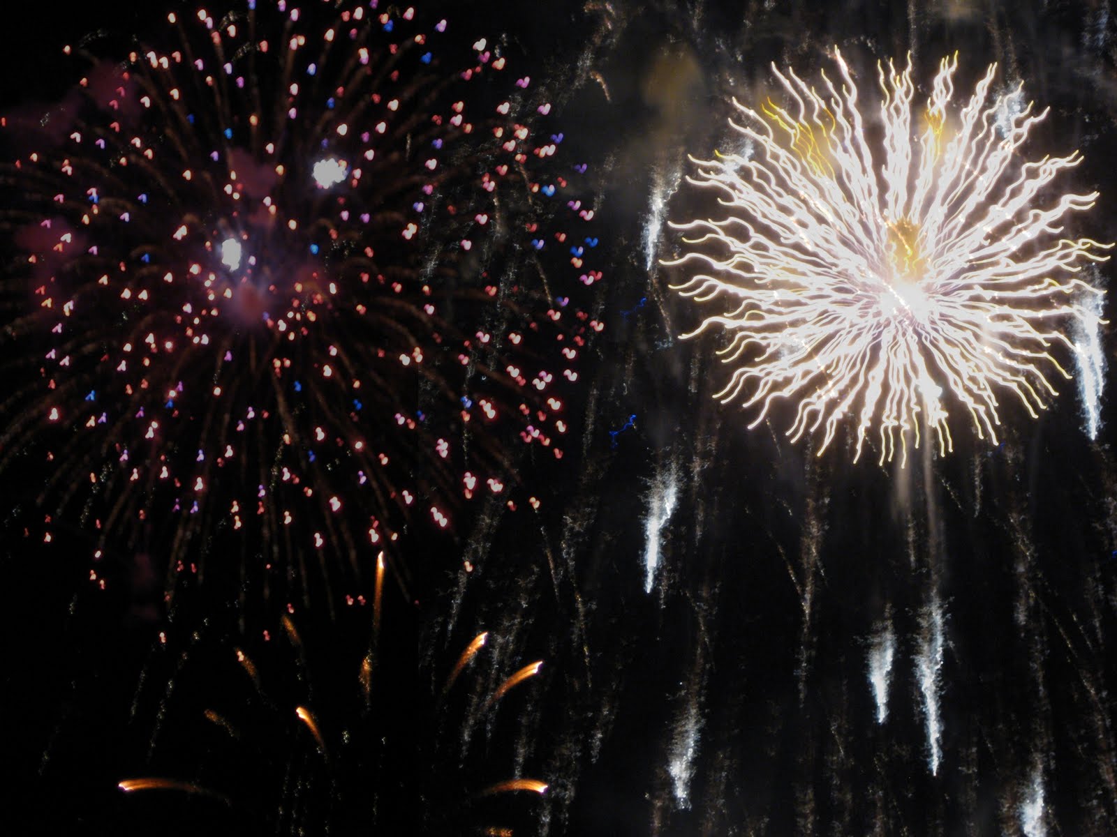 Hope you all had a wonderful 4th of July!