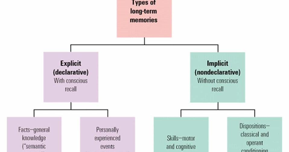 What Are The Types Of Long Term Memory EduGyan