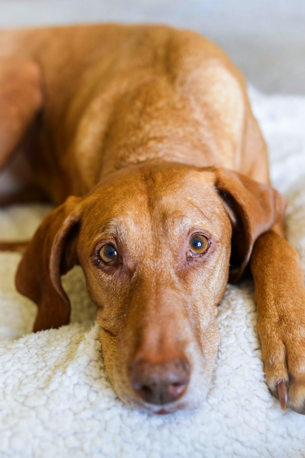 The One with Colton Ray