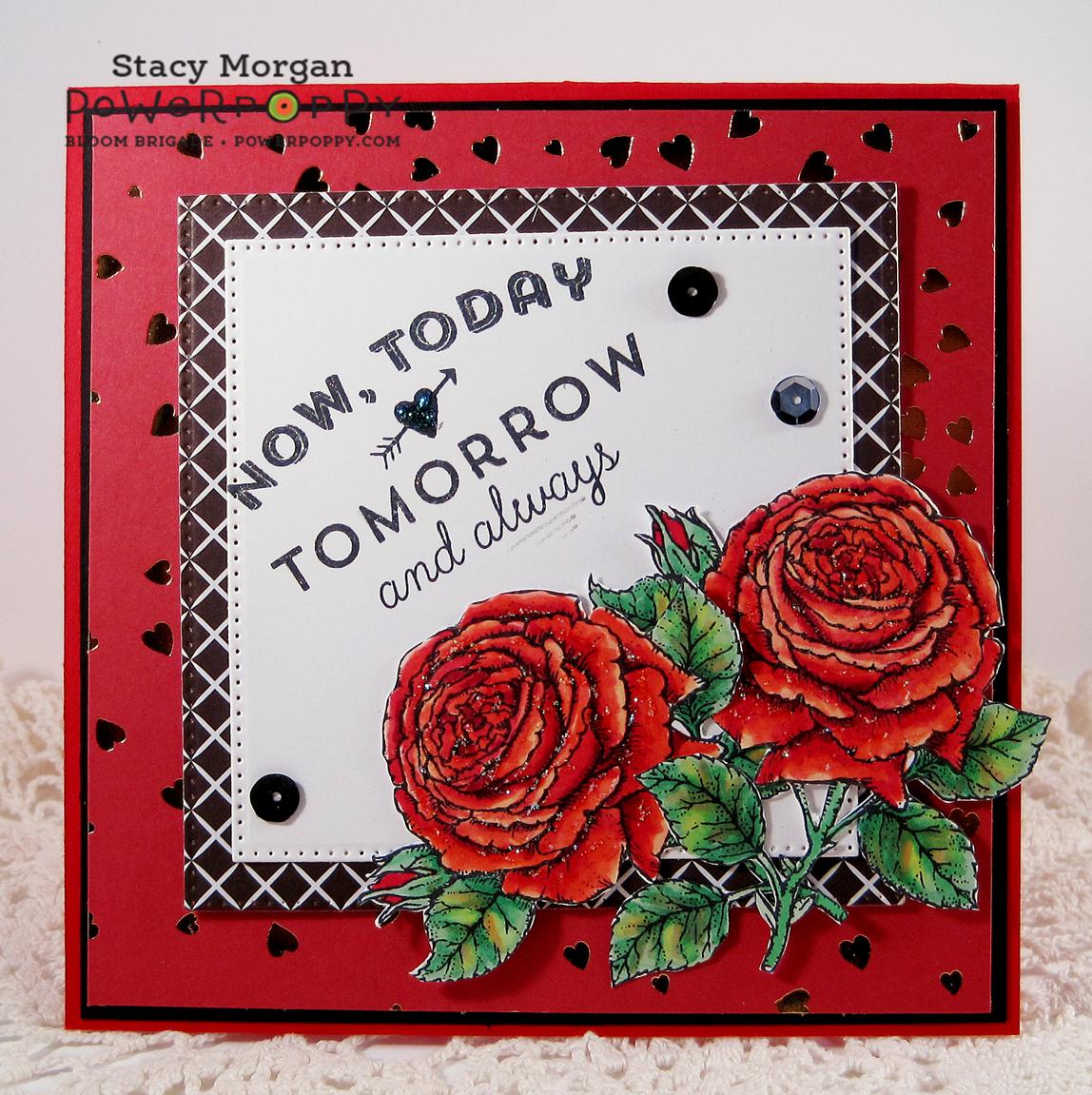 Twinshappy: Now, Today and tomorrow