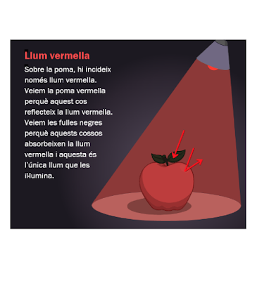 ONES I LA NOSTRA RELACIÓ AMB ELLES: LA LLUM