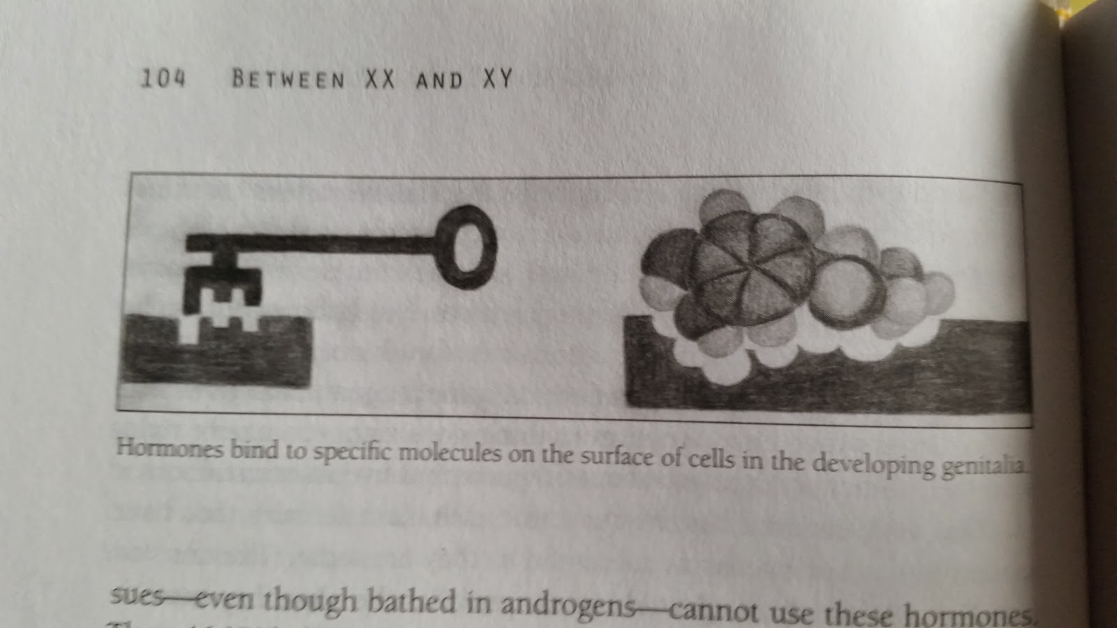 My CAIS: Complete Androgen Insensitivity Syndrome