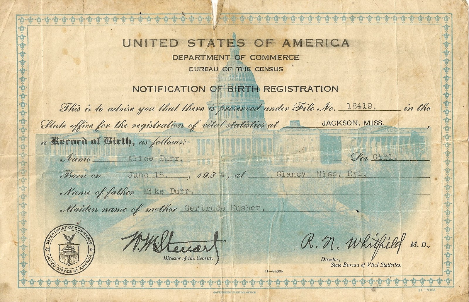 Between the Gate Posts: Alice's Notification of Birth Registration