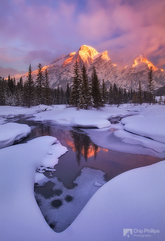 :: Alexandra Proaño 3D - Green Pear Diaries ::: Chip Phillips, la ...