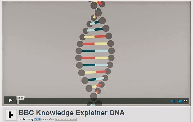 Infográficos na educação: Infográfico animado sobre o DNA
