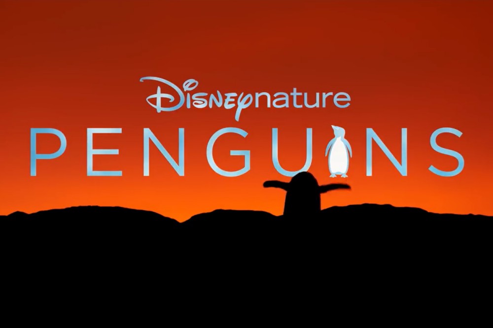 The Movie Sleuth: Cinematic Releases: Disneynature's Penguins Brings Us ...