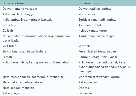 Perbedaan Gejala Hipertiroid dan Hipotiroid pada Kelenjar Tiroid ...