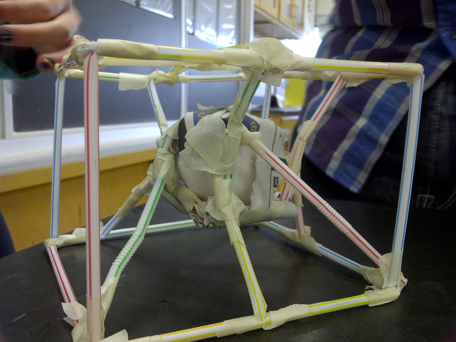 Earth and Space Science Blog: Egg Lander