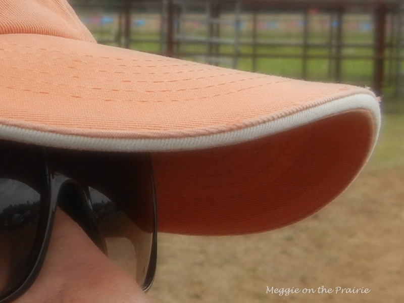 Meggie On The Prairie: Cowboys, Cowgirls, Horses and Team Roping