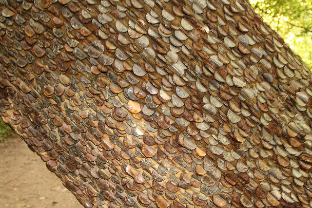 Money Does Grow on Trees ~ Kuriositas