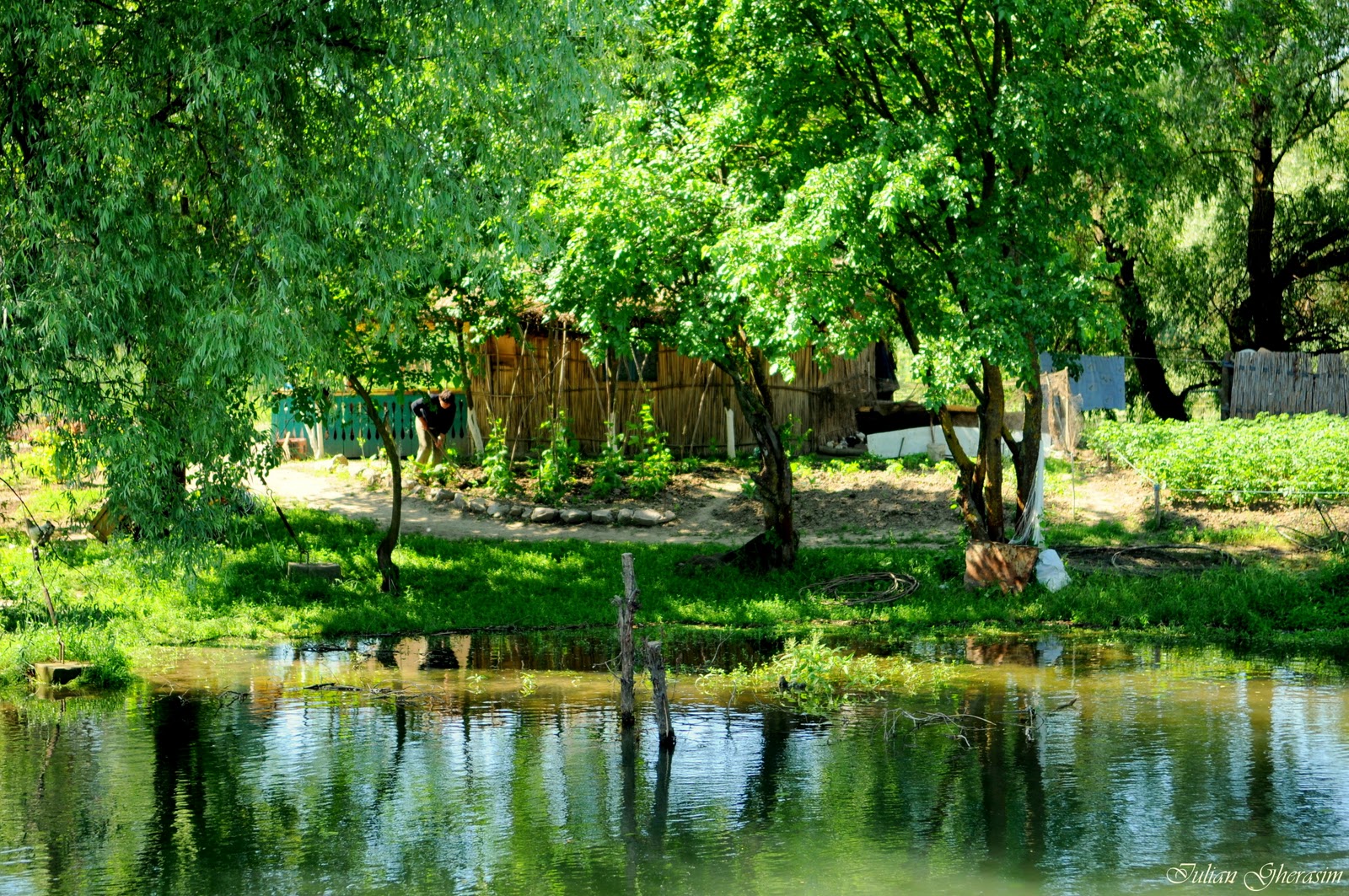 Fotograf Tulcea Iulian Gherasim Blog cu fotografii: Delta Dunarii