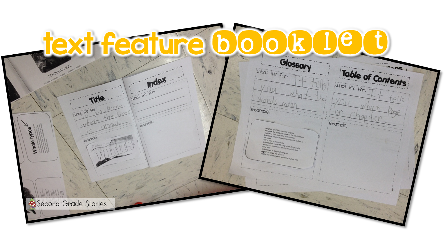 Text Mapping and Nonfiction Text Features - Second Grade Stories