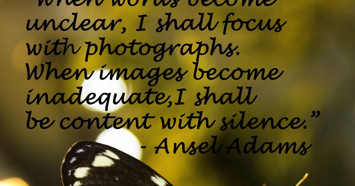 She Writes Fast!: When Words Become Unclear, I Shall Focus on Photographs