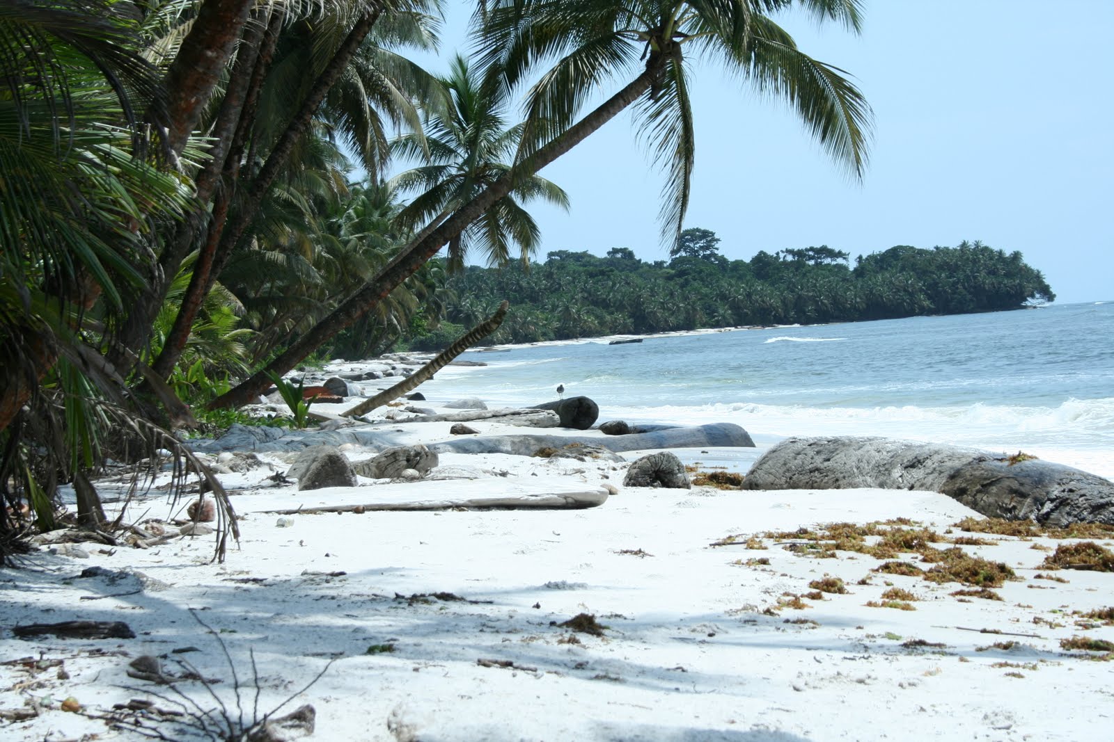 Islas del Mundo: Corisco