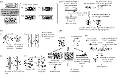 Alit's Practical Orthopaedic: Teknologi Biomaterial untuk Aplikasi ...