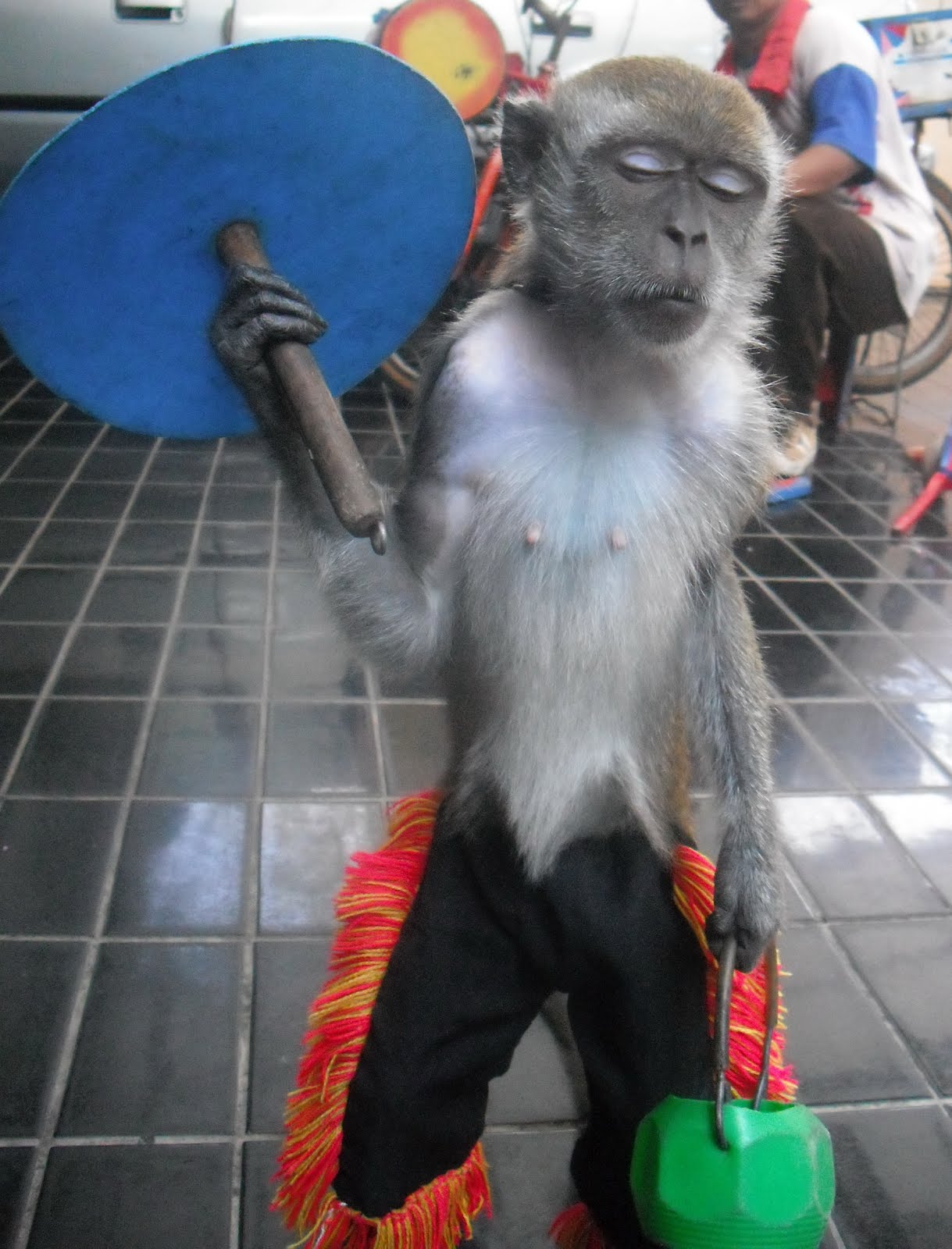 Veilicious!: Topeng Monyet Show