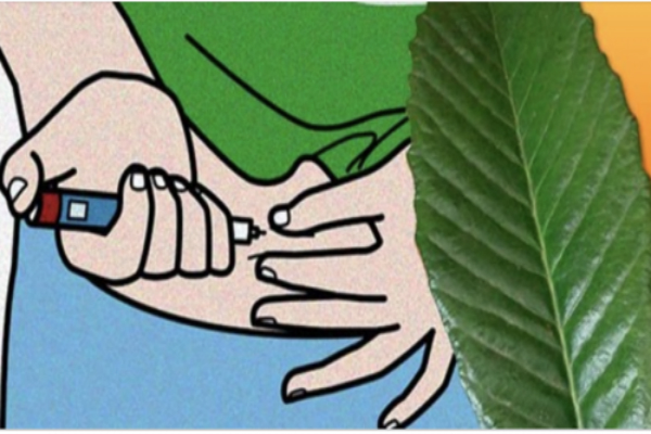 How To Make Homemade Insulin For Diabetes by Yourself at Home and Not ...