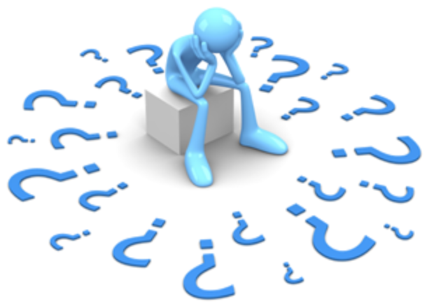 Nymphaea: Individuele begeleiding naar aanleiding van een gevolgde workshop